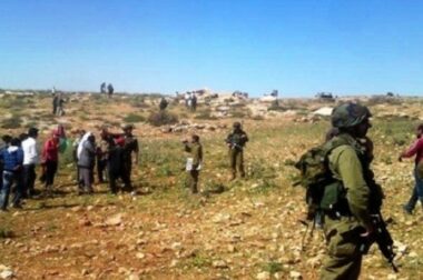 Hebron: Nazi Soldiers, Jewish Colonizers, Attack Farmers, Prevent Them ...